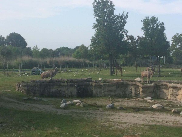 A Visit to the Toledo Zoo & the New Aquarium | Ann Arbor with Kids