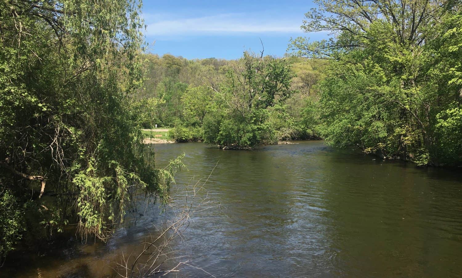 Argo Cascades: Wednesday Activity Review | Ann Arbor with Kids