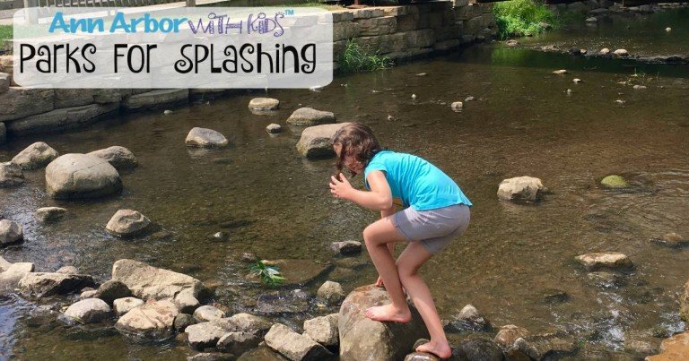 Lake Swimming Unleashed: The Best Ann Arbor Beaches | Ann Arbor with Kids