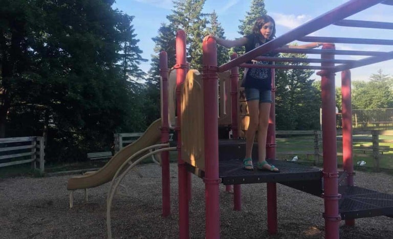 Clinton Park | Ann Arbor with Kids