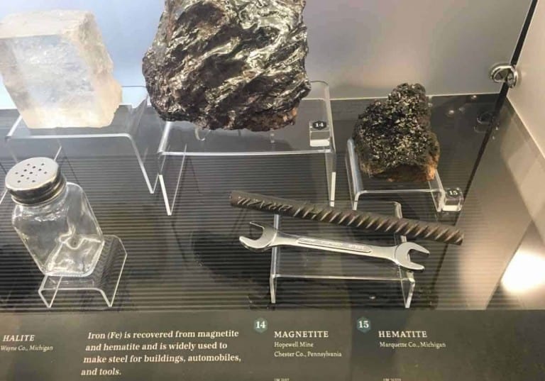 Visiting the UM Museum of Natural History - Activity Review | A2WithKids