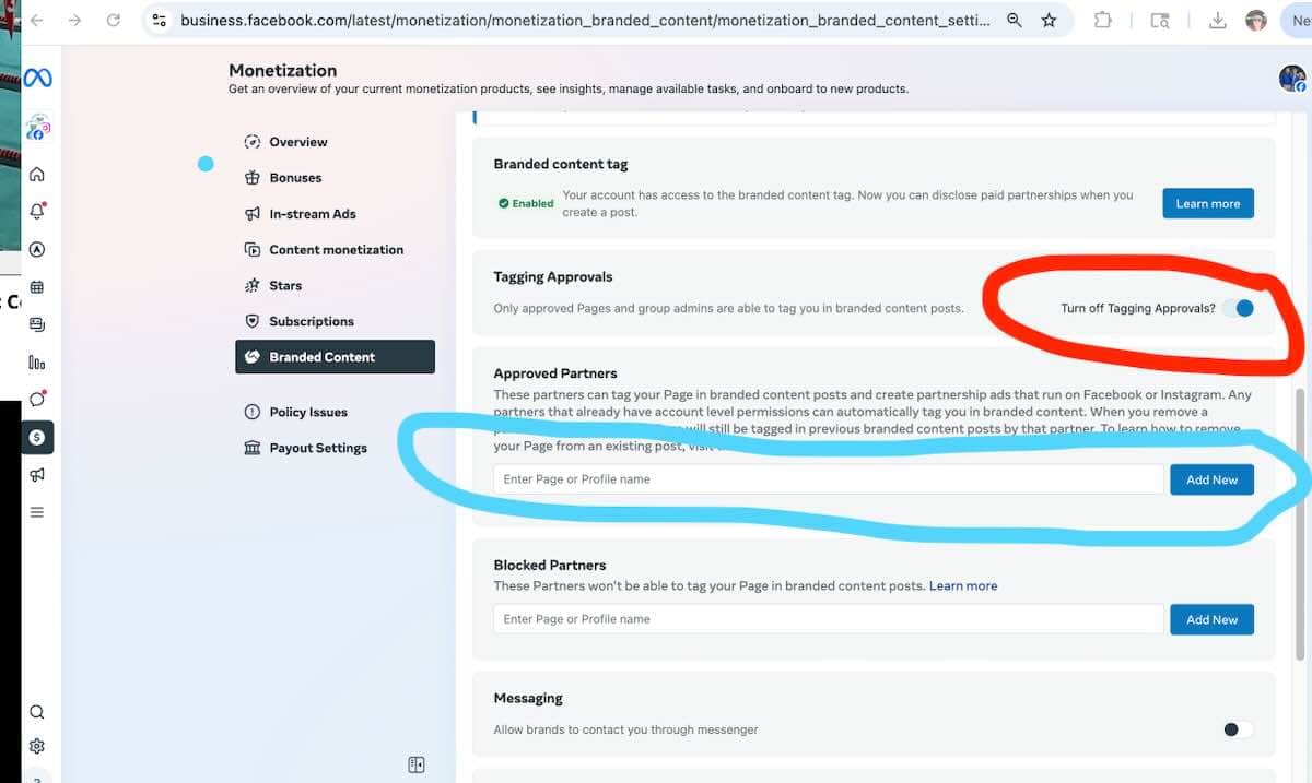 Approve Facebook Branded Content Tags | Ann Arbor with Kids
